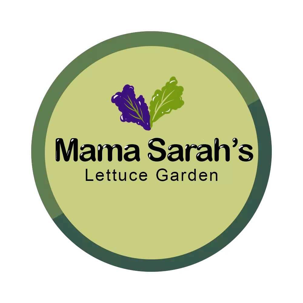 Mama Sarahs Lettuce Garden City Of Naga